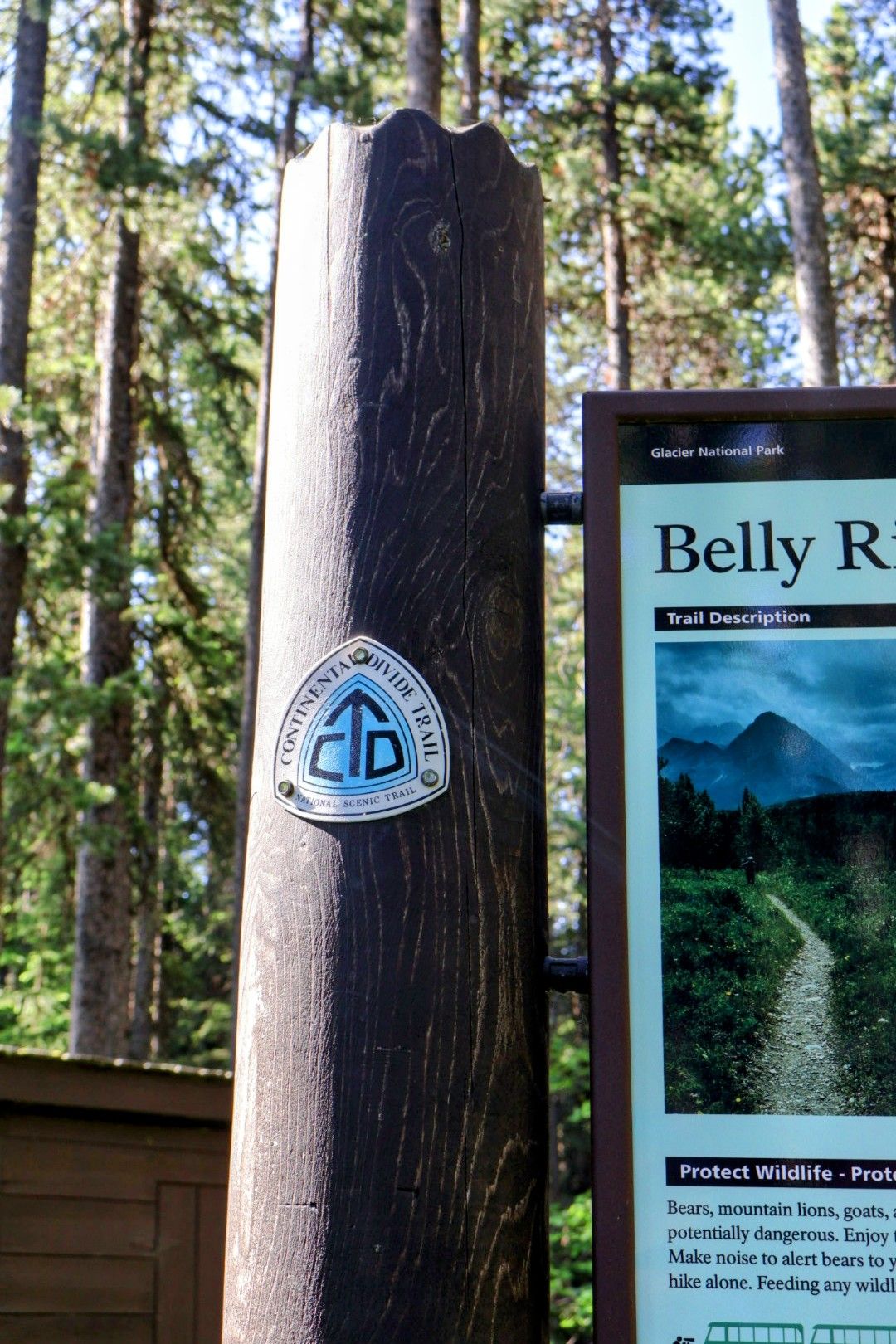 Chaos muppet: Hiking the CDT thru Glacier National Park - Sparks Hikes ...